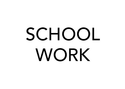 SCHOOL WORK | MEGAN LUONGO